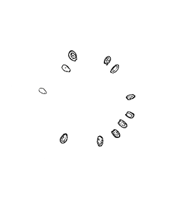 Locular Tissue