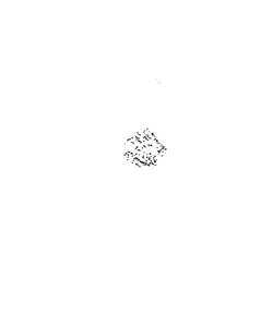 Locular Tissue