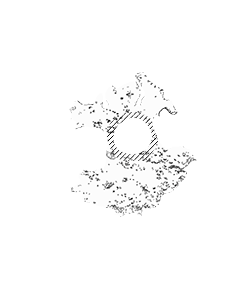 Locular Tissue